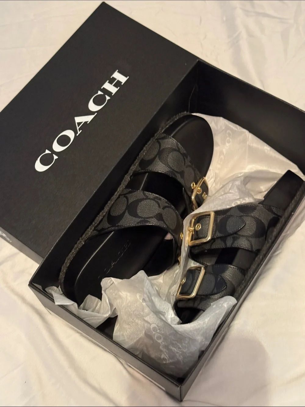Coach | Shoes | Coach Allanah Signature Jacquard Doublebuckle Slides 6 ...